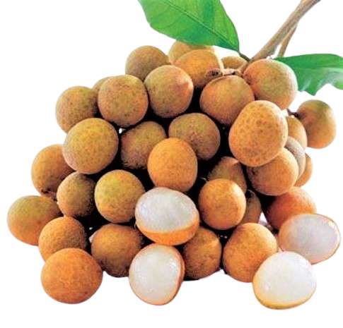 Best Online supermarket | Order online grocery, vegetables, fresh ...